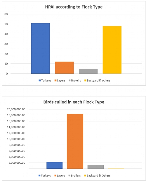 USA: HPAI in graphics | Infectious Diseases 2022 | Infectious diseases ...